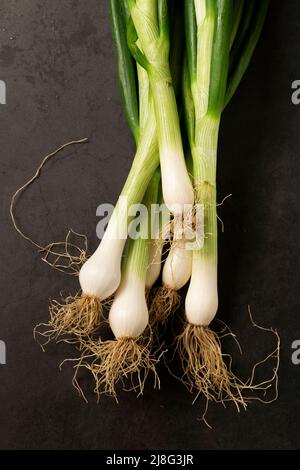 Spring onions on dark background. Harvest, agricultural concept ...