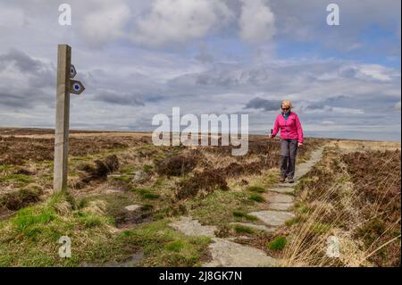 The Quakers Causeway a footpath across Stanghow Moor near Guisborough ...