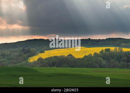 Sudeten Upland. Undulating terrain covered with arable fields, meadows ...