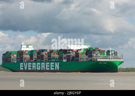container ship EVER ARM on the river Elbe Stock Photo - Alamy
