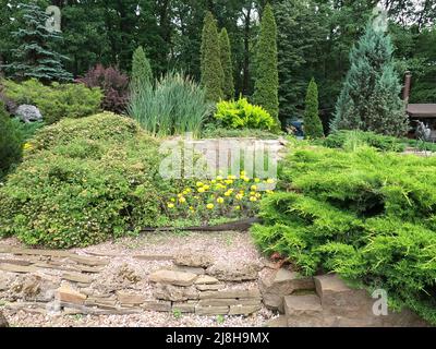 lanscape design. beautiful garden of blue spruce, bright yellow ...