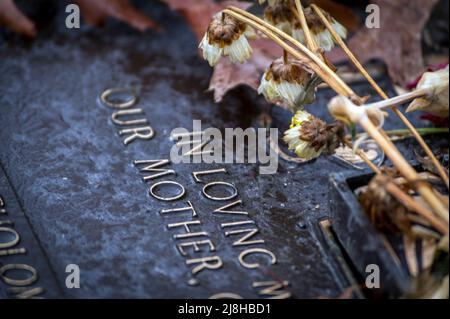 Prospect Cemetery in Toronto Stock Photo - Alamy