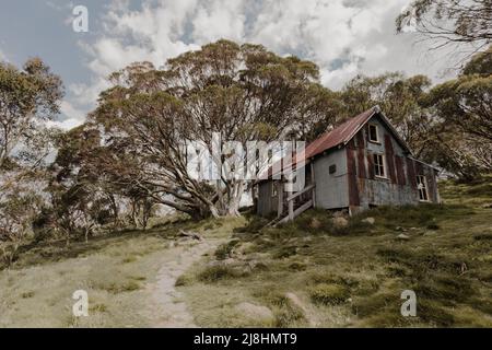 Cope Hut near Falls Creek in Australia Stock Photo - Alamy