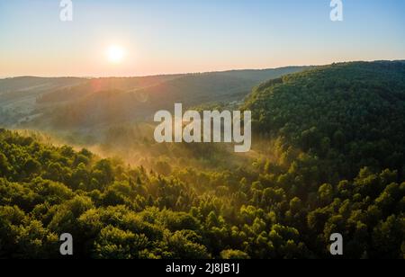 Vibrant foggy morning over dark forest trees at bright summer sunrise ...
