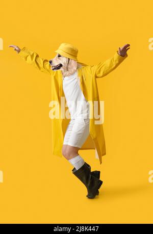 Dancing man with head of dog on blue background Stock Photo - Alamy