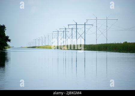 Electrical power lines, Florida Stock Photo - Alamy