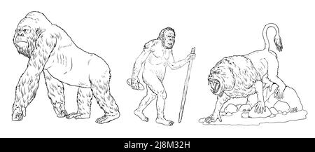 Prehistoric primates gigantopithecus, dinopithecus and australopithecus ...