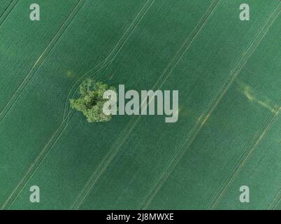 Nieder Erlenbach, Germany. 17th May, 2021. Dark storm and thunder ...