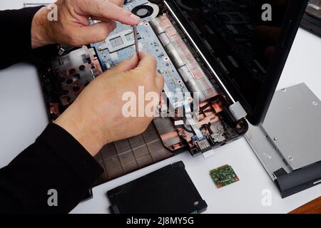 a computer repairman disassembles, repairs and does preventive ...