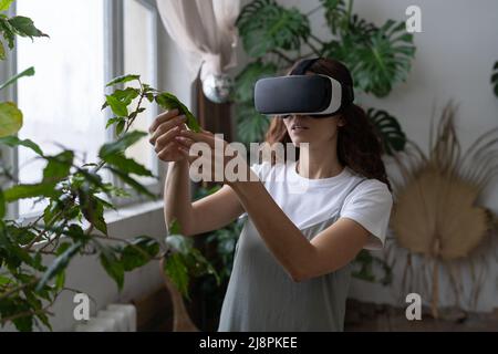 Home gardening, metaverse. Woman using VR glasses in greenhouse ...