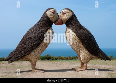 Woven wicker Puffins in Jersey Stock Photo - Alamy