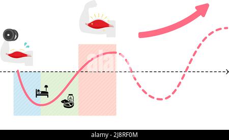 Graph illustration of efficient muscle growth (supercompensation ...