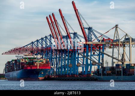 Container ship, HHLA Container Terminal Tollerort, CTT, Hamburg-Port, Hamburg, Hamburg, Germany ...