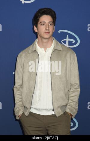 NEW YORK, NEW YORK - MAY 17: Milo Manheim attends the 2022 ABC Disney ...