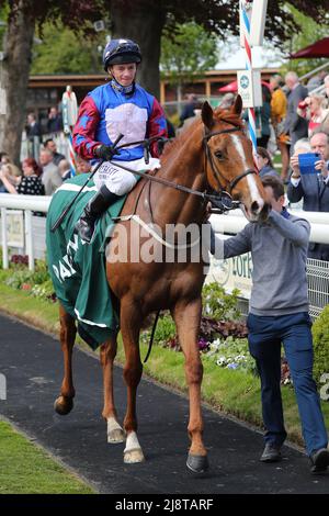 Jockey David Allan on Cruyff Turn at York Races Stock Photo - Alamy