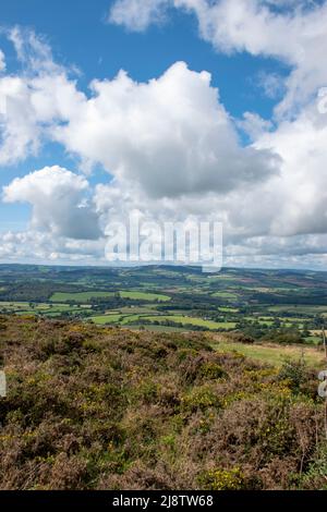 Quantock Hills… Triscombe Stone Great Hill cairn (Views are looking due ...