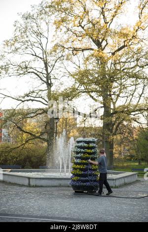 Senior gardener on light blue background with space for text Stock ...