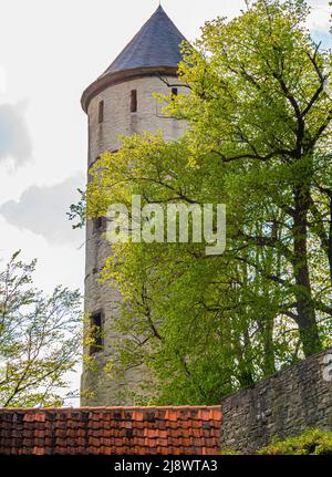 Tower of a medieval castle, Plesse Burg, Goettingen Stock Photo - Alamy