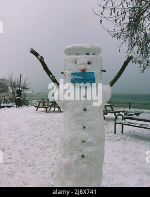 Christmas isolated happy snowman wearing blue hat and scarf with ...