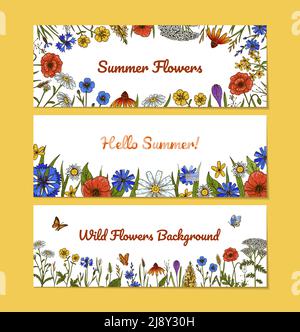 Set of wildflowers botany designs. Colorful hand drawn vector ...