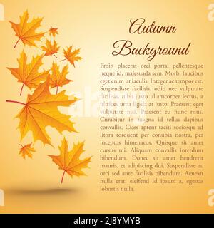 Realistic autumn leaves on a light background - Vector illustration ...