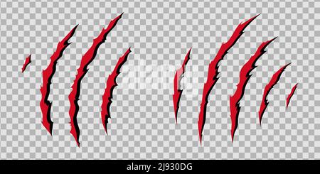 Dog or Wolf Paw print with scratches. Black Silhouette, contour, red ...