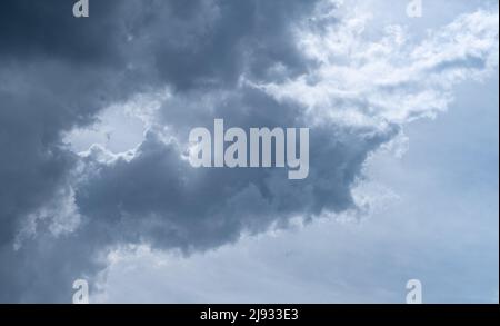 Rottweil, Germany. 19th May, 2022. A flower meadow blooms in the ...
