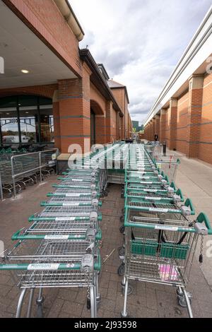 Morrisons supermarket shopping trolleys parked in trolley bay Stock ...