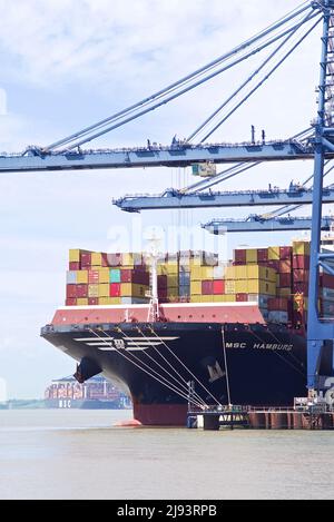 Container ship MSC Michelle docked at The Port of Felixstowe Stock ...