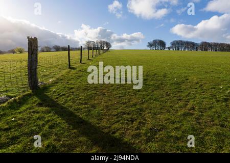 The Coleridge Way footpath at White Moor near Wheddon Cross in the ...