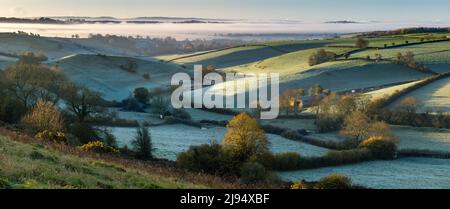 A frosty autumn morning at Oborne, Dorset, England, UK Stock Photo - Alamy