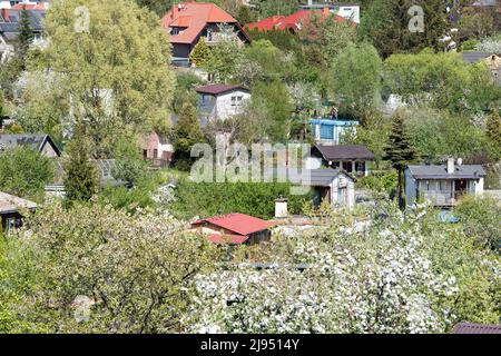 Allotment garden in spring in Gdansk, Poland. May 15th 2022 © Wojciech ...