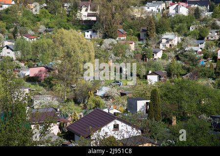 Allotment garden in spring in Gdansk, Poland. May 15th 2022 © Wojciech ...