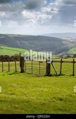 Lype Common in spring in the Brendon Hills, Exmoor National Park ...