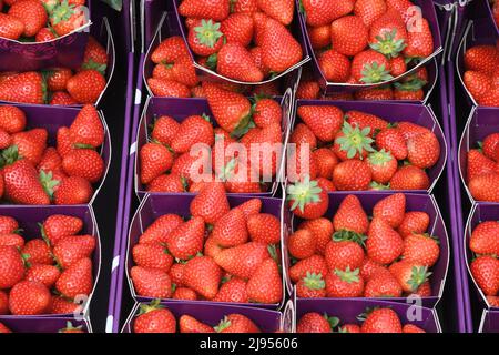 Copenhagen/Denmark/20 May 2022/.Strawberry fruit display for sale in ...