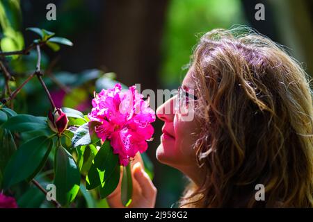 Woman smelling a large flower of intense colors in spring Stock Photo ...