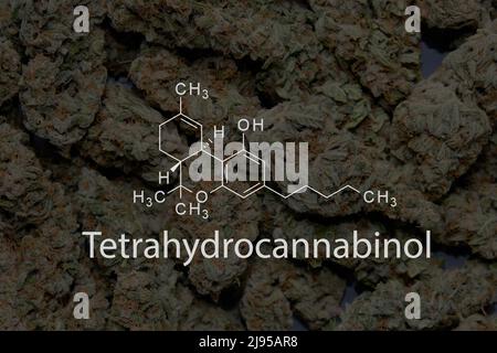 Macro a cannabis flower with the formula THC CBD CBN, CBD Chemical ...