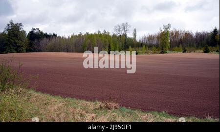 Arable land in Kurzeme Latvia Stock Photo - Alamy