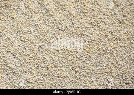 Raw dried broken Barley grains Stock Photo - Alamy