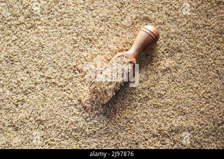 Raw whole dried brown color rice Stock Photo - Alamy