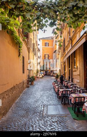 Narrow street with cafe and small shops in Rome Stock Photo - Alamy