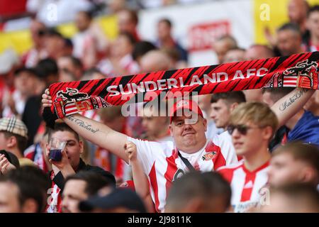 A Sunderland fan before kick off Stock Photo - Alamy
