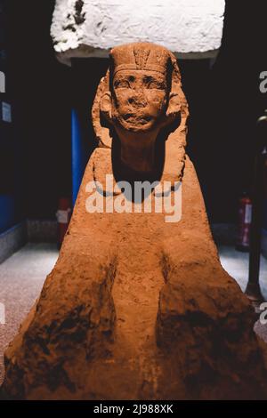 Ancient Egyptian exhibits in the Imhotep Museum, located near the ...