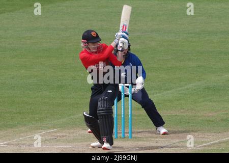 Georgia Adams batting for Southern Vipers in a Rachael Heyhoe Flint ...