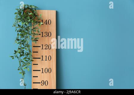 Wooden stadiometer near blue wall Stock Photo - Alamy