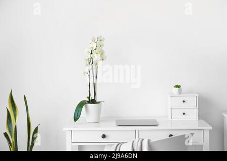 Workplace with modern laptop, orchid flower and cup near blue wall ...