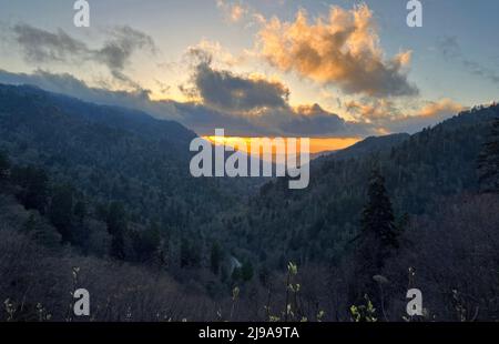 View from the Ben Morton Overlook on Hwy 441 Newfound Gap Road on the ...