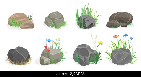 Stone with flowers. Landscape design, boulders with plants, nature ...