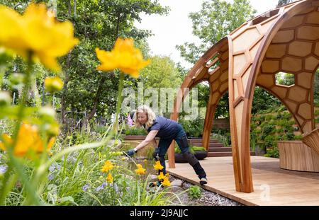 The Meta Garden: Growing the Future at the Chelsea Flower Show designed ...