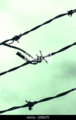 Barbed wire fence protecting something important Stock Photo - Alamy
